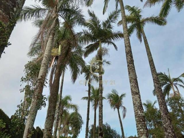 IMOVEL COM TERRENO GRANDE BO FLORIDA