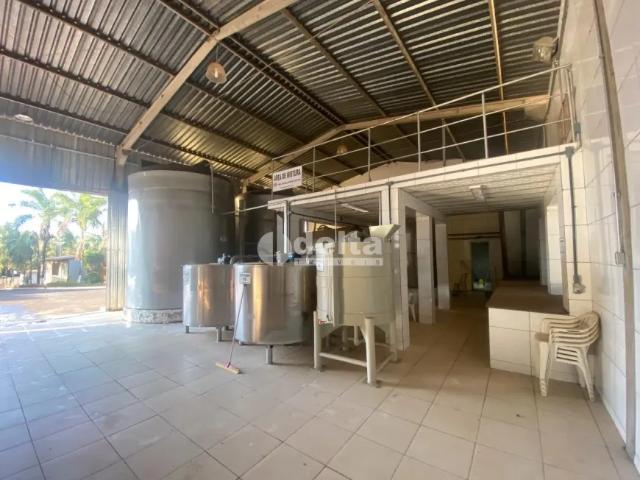 Imóvel comercial disponível para locação em Uberlândia MG