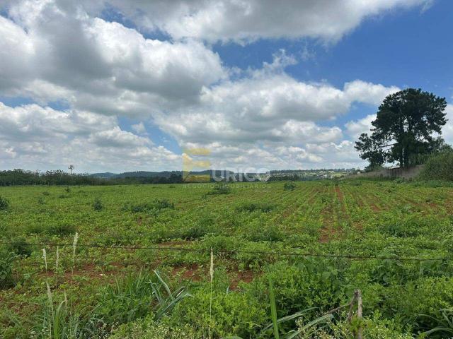 Imóvel Comercial para venda em Residencial Fazenda Da Grama em Itupeva São Paulo de 27433.00m²