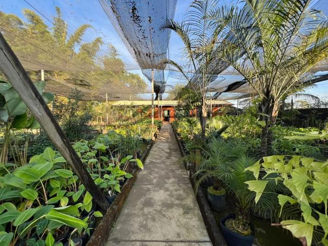 Imóvel para venda tem 2739 metros quadrados em Santa Amélia Belo Horizonte MG