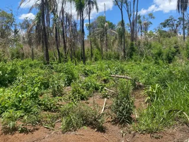 Imóvel para venda com 600 metros quadrados em Terra Preta Mairiporã SP