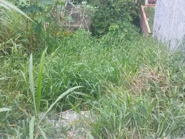 Imóvel para venda possui 210 metros quadrados TERRENO COM 210 M2 NO JAGUARI PRONTO PARA CONSTRUIR D