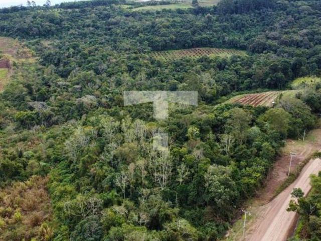 IMÓVEL RURAL