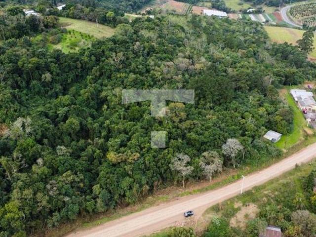 IMÓVEL RURAL