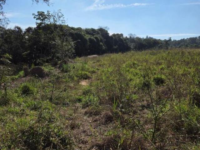Imóvel rural de 7 ha à venda em Vila Queiroz