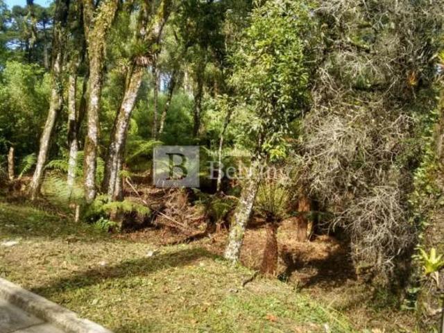 IMOBILIÁRIA GRAMADO E CANELA VENDE!