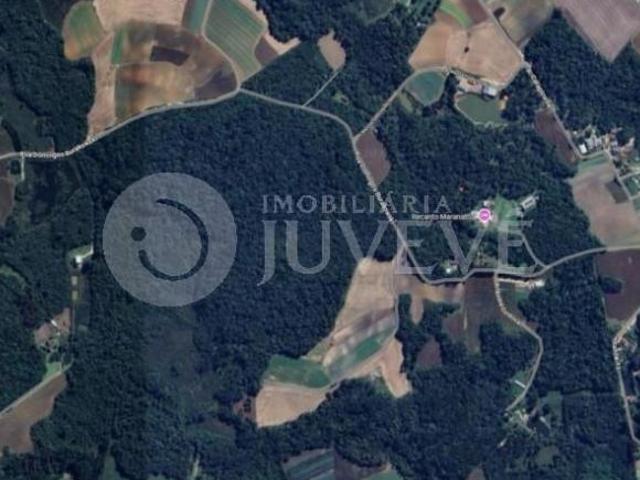 IMOBILIÁRIA JUVEVE VENDE ÁREA 55.660,00M² RUA DOMINGOS BURAKOWSKI SÃO JOSÉ DOS PINHAIS COMPO LARGO D