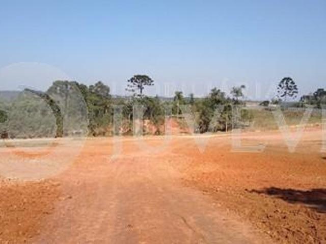 IMOBILIÁRIA JUVEVÊ VENDE ÁREA DE EXPANSÂO HABITACIONAL UMBARÁ RUA ILÍRIA ZONTA BONATo 57000 M² PRX M