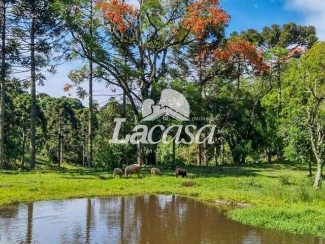 Imobiliária La Casa vende: Excelente chácara próxima à Palmeirinha