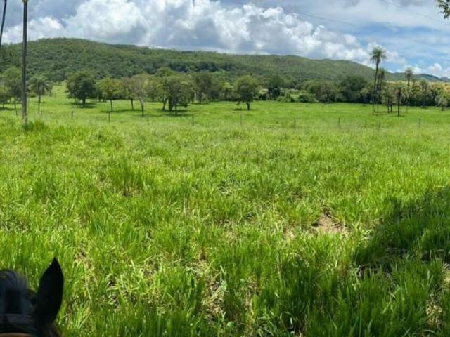 Imobiliária Setor Bosque Fazenda Setor Bosque à venda