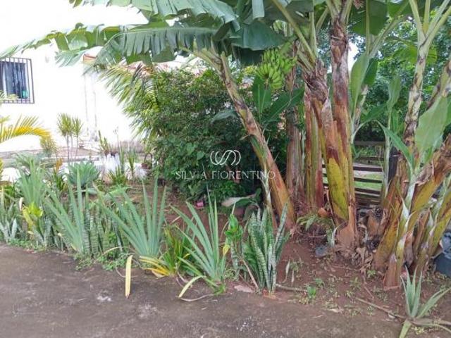 Imperdível oportunidade: Casa à venda em Taubaté SP, bairro Chácara São Silvestre, 5 quartos, 2 suít