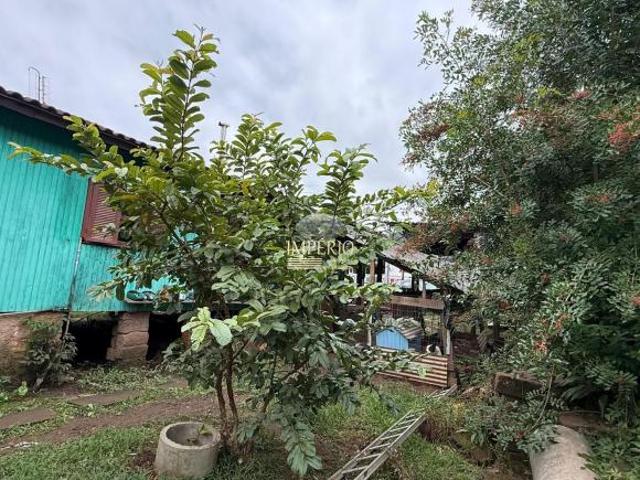 Imperdível oportunidade! Casa à venda em Três Coroas RS, bairro Sander, com 3 quartos, sala, banheir