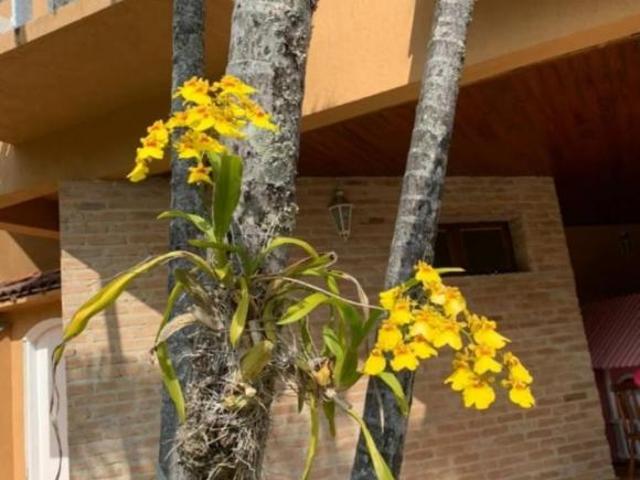Imperdível oportunidade! Casa de alto padrão em condomínio no Alphaville, Santana de Parnaíba SP: 4