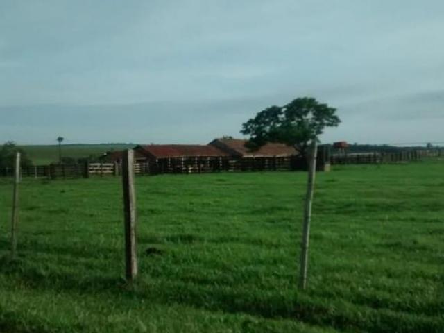 Imperdível oportunidade de investimento: Fazenda de 610 alqueires à venda em Mato Grosso do Sul