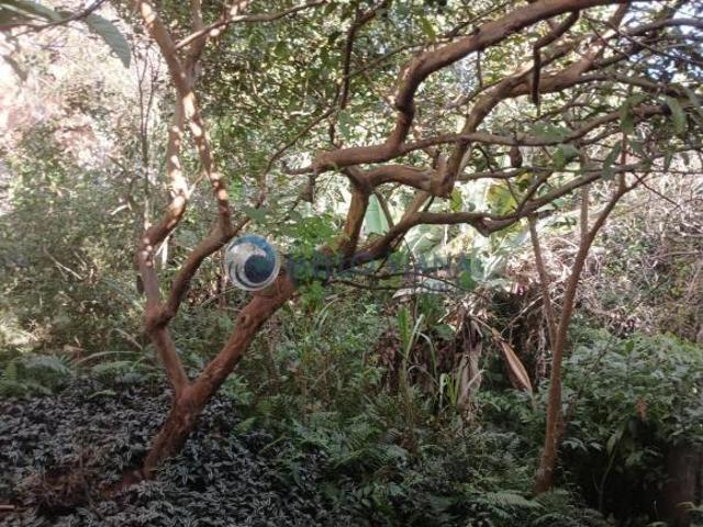 Imperdível casa à venda em São Lourenço MG, bairro Serra Azul: 2 quartos, 2 suítes, 1 sala, 3 banhei