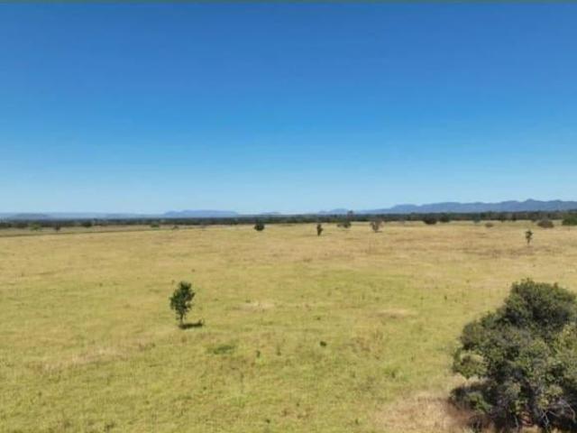 “IMPERDÍVEL: FAZENDA TRADICIONAL A 149 KM DE BRASÍLIA – 5.000 HA, 5.100 RESES