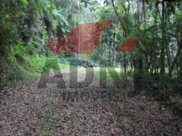 Imperdível sítio à venda em São Lourenço da Serra SP, 100 alqueires!