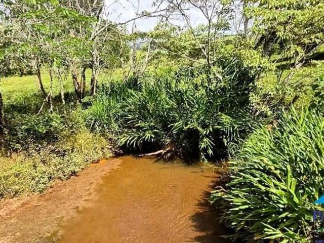 Imperdível: Terreno com 21,21 ha em Localização Privilegiada!