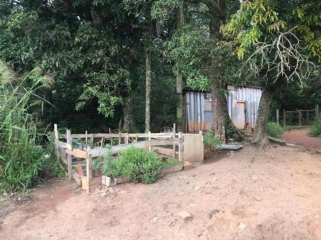 Imperdível !Vendo Área/ terreno de 6132 m2 km 30 proximo s Raposo Tavares Cotia