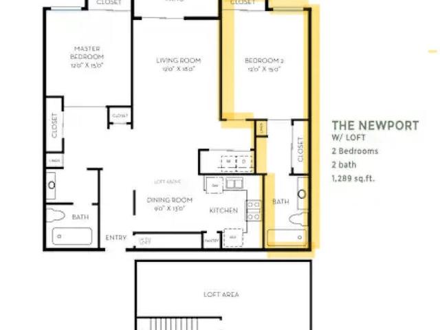 In Search of a Roommate