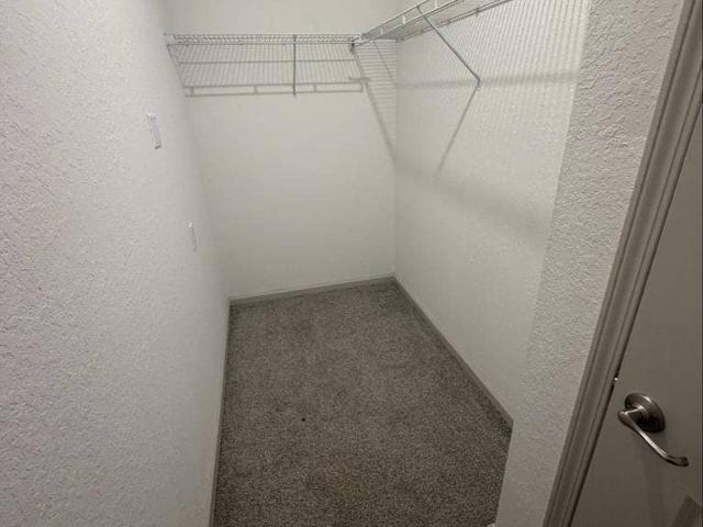 In search of roommate