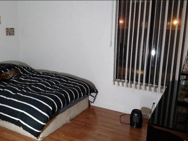 In search of roomie