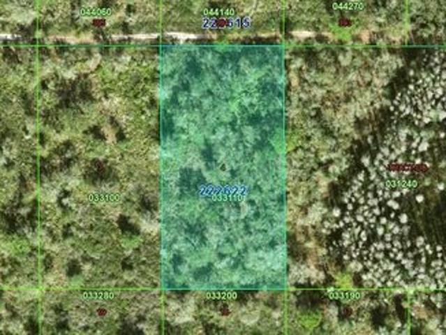 Inaccessible Tract, Kathleen, FL 33849