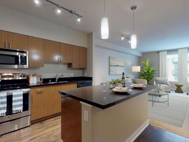 Income Restricted Elegant 1 Bedroom with In Unit Washer and Dryer, Park Views, and Pet Friendly Living in Central Kirkland | Open House: Everyday Tour now!