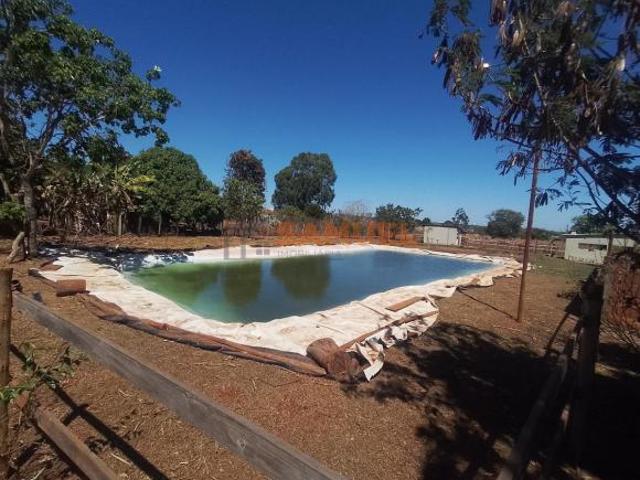 Incra 7 Núcleo Rural Alexandre Gusmão com 20.000 M² Próximo Gol de Placa
