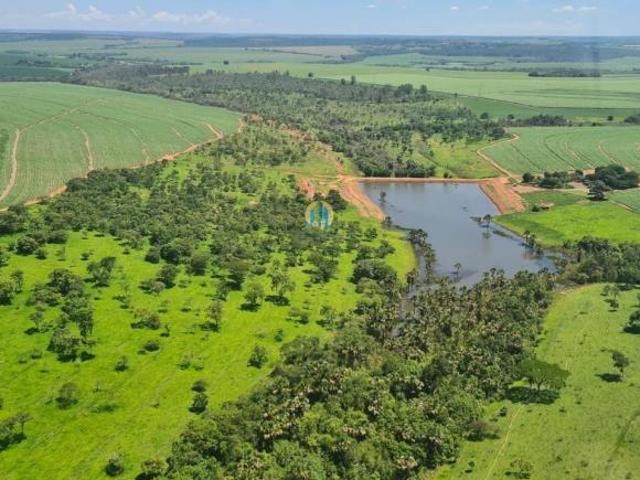 Incrível Fazenda!