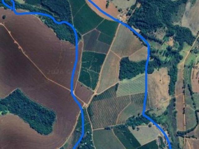 Incrível Fazenda Café a venda MG 150,72 hectares!