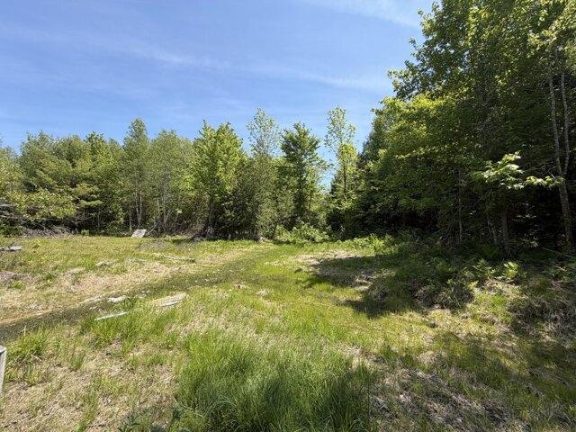 Independence Cir Lot,prentiss Township T R Nbpp, Plot For Sale