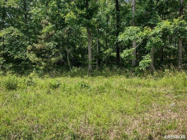 Independence Dr Lot 1612, Hot Springs, AR 71913