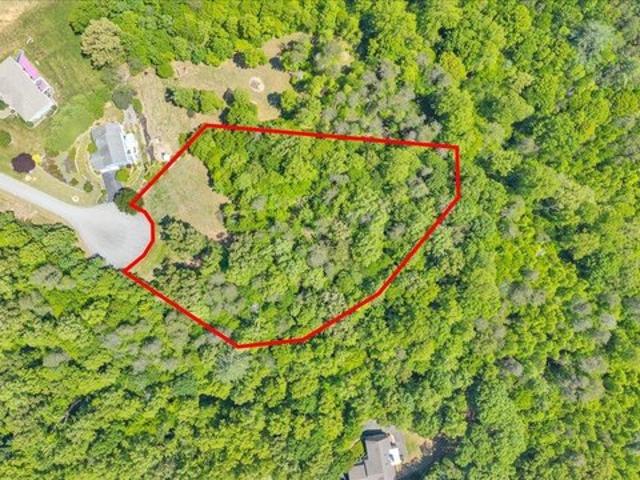 Independence Ln Lot 13, Wirtz, VA 24184