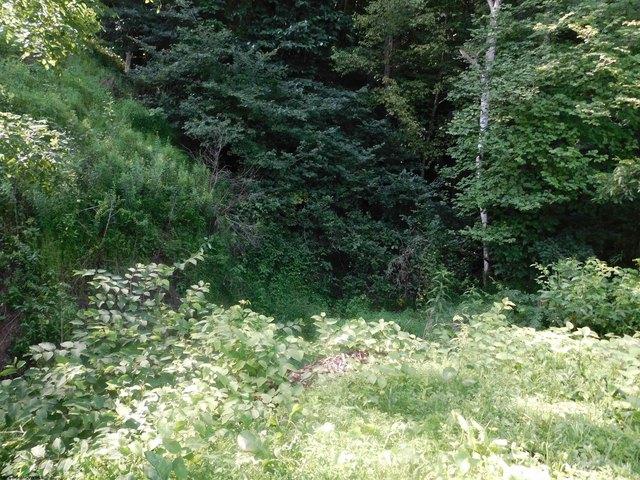 Independence Rd, Newburg, WV 26410