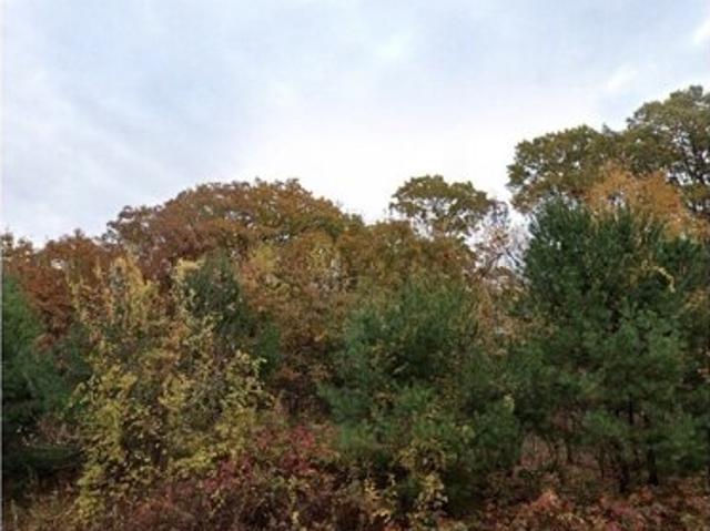 Independent Ln, Ashland, Plot For Sale