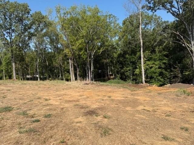 India Rd Lot 2, Paris, TN 38242