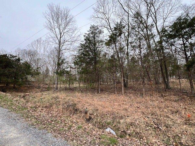 Indian Camp Dr Lot 1234, Goreville, IL 62939