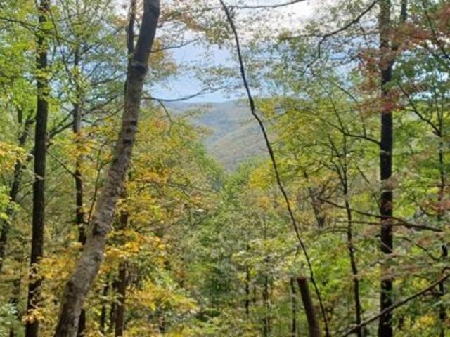 Indian Camp Run Rd, Renovo, Plot For Sale