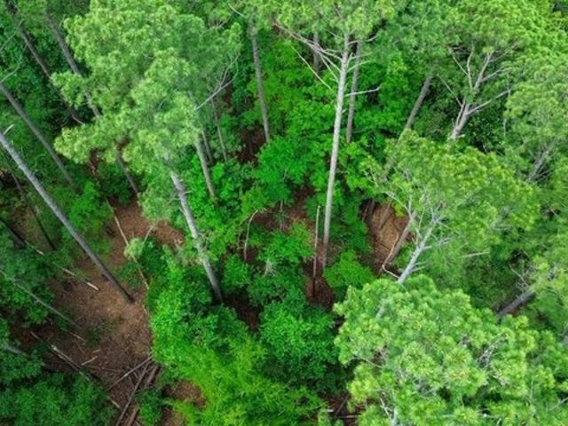 Indian Cirlce, Lincolnton, GA 30817