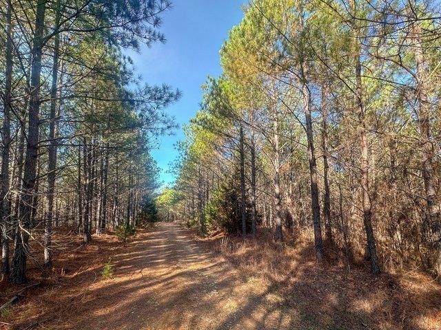 Indian Creek Rd, Hohenwald, TN 38462