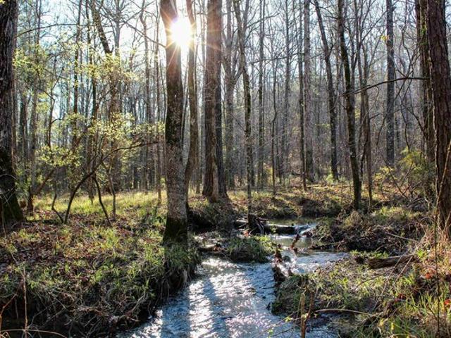 Indian Gap Trl Lot 0, McCalla, AL 35111