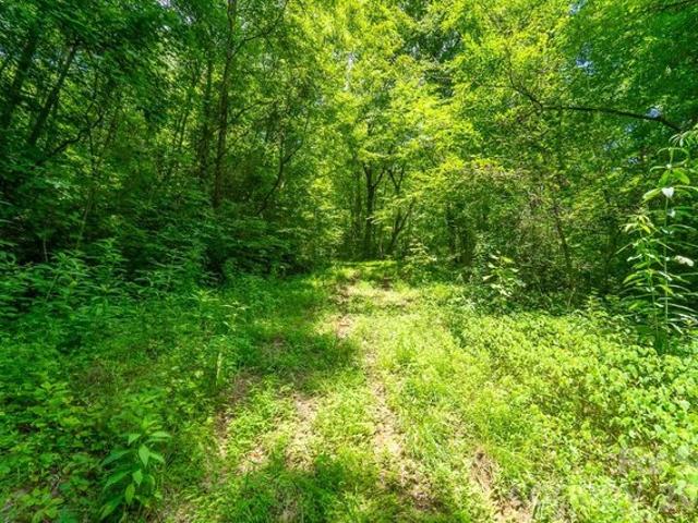 Indian Flats Dr, Sylva, NC 28779