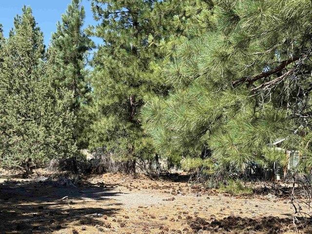 Indian Island Dr Lots 331 & 4, Weed, CA 96094