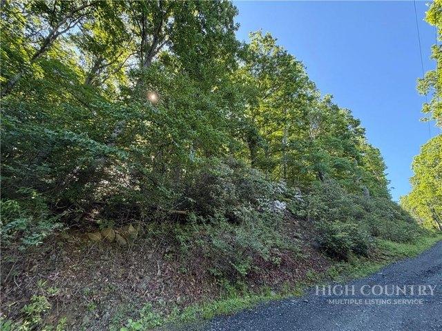 Indian Lake Dr, West Jefferson, NC 28694