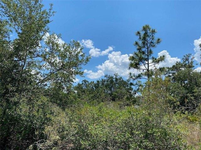 Indian Lake Dr Lot 24, Indian Lake Estates, FL 33855