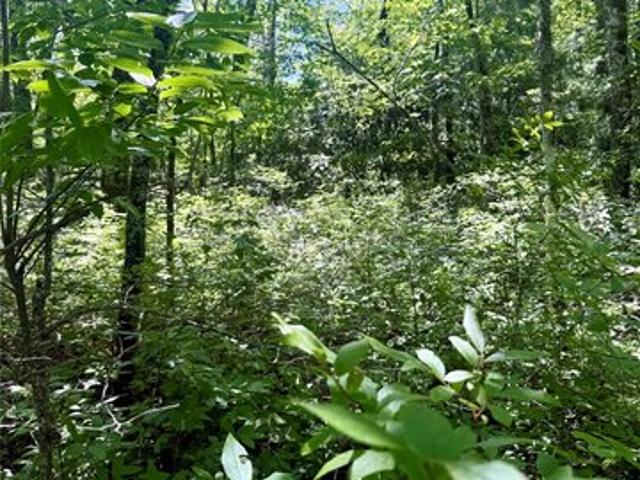 Indian Lake Rd Unit 32, Lake Toxaway, NC 28747