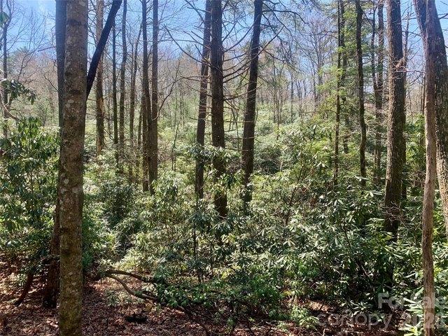 Indian Lake Rd Lot 20A, Lake Toxaway, NC 28747