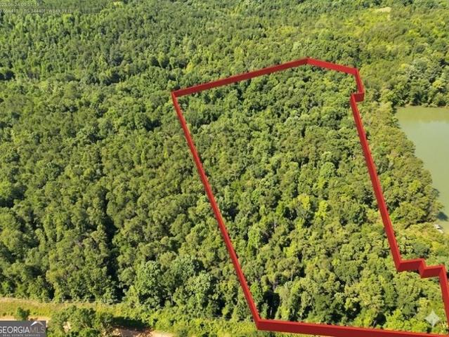Indian Lake Rd Lot 98 100, Clayton, AL 36016