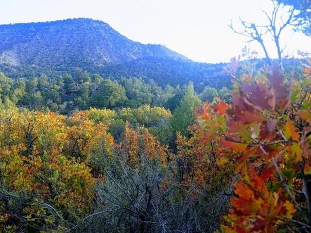Indian Route 111, Durango, CO 81303